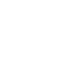 Best IT Courses Online Training